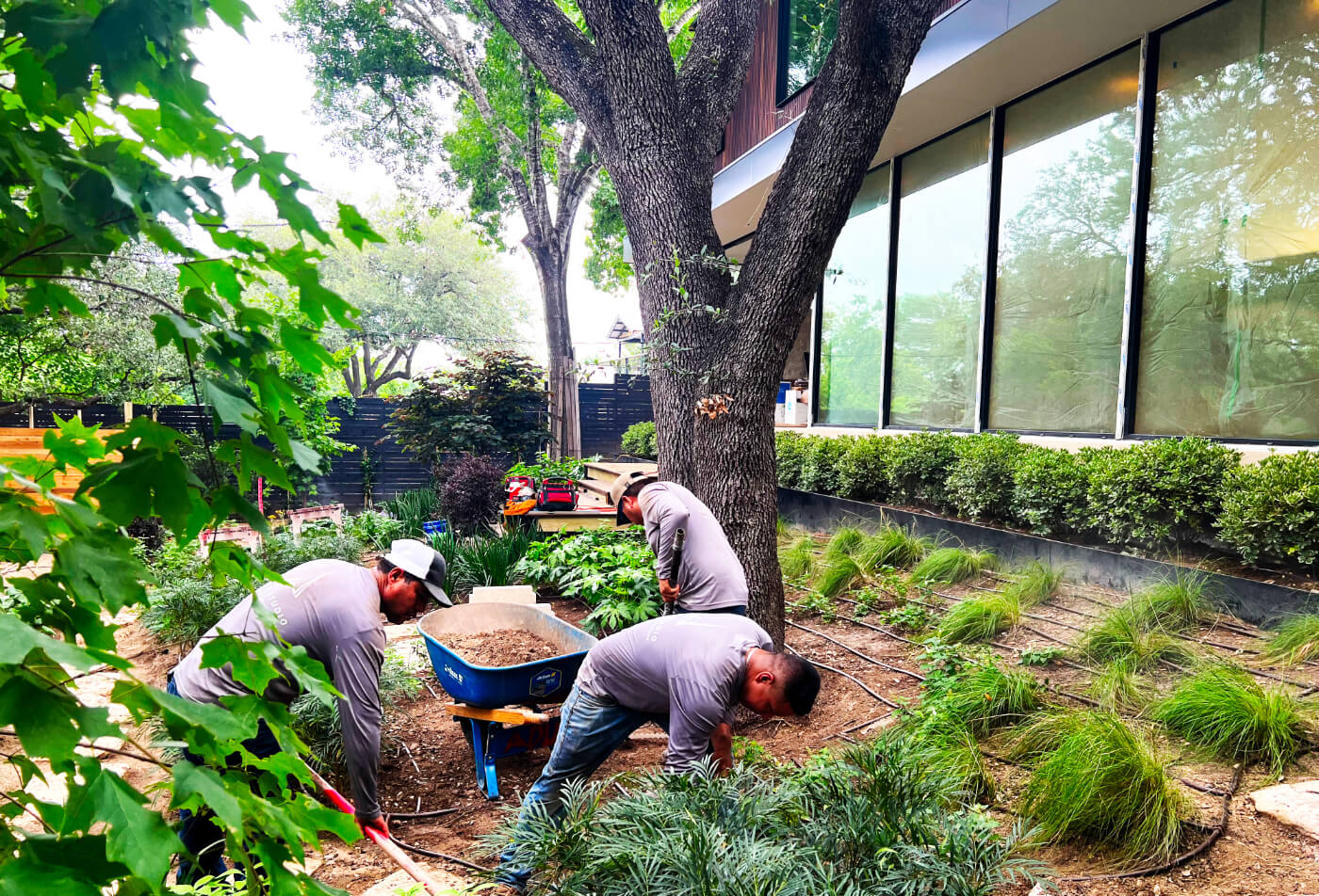 ADLA Studio | Landscaping Design Process & Development Project