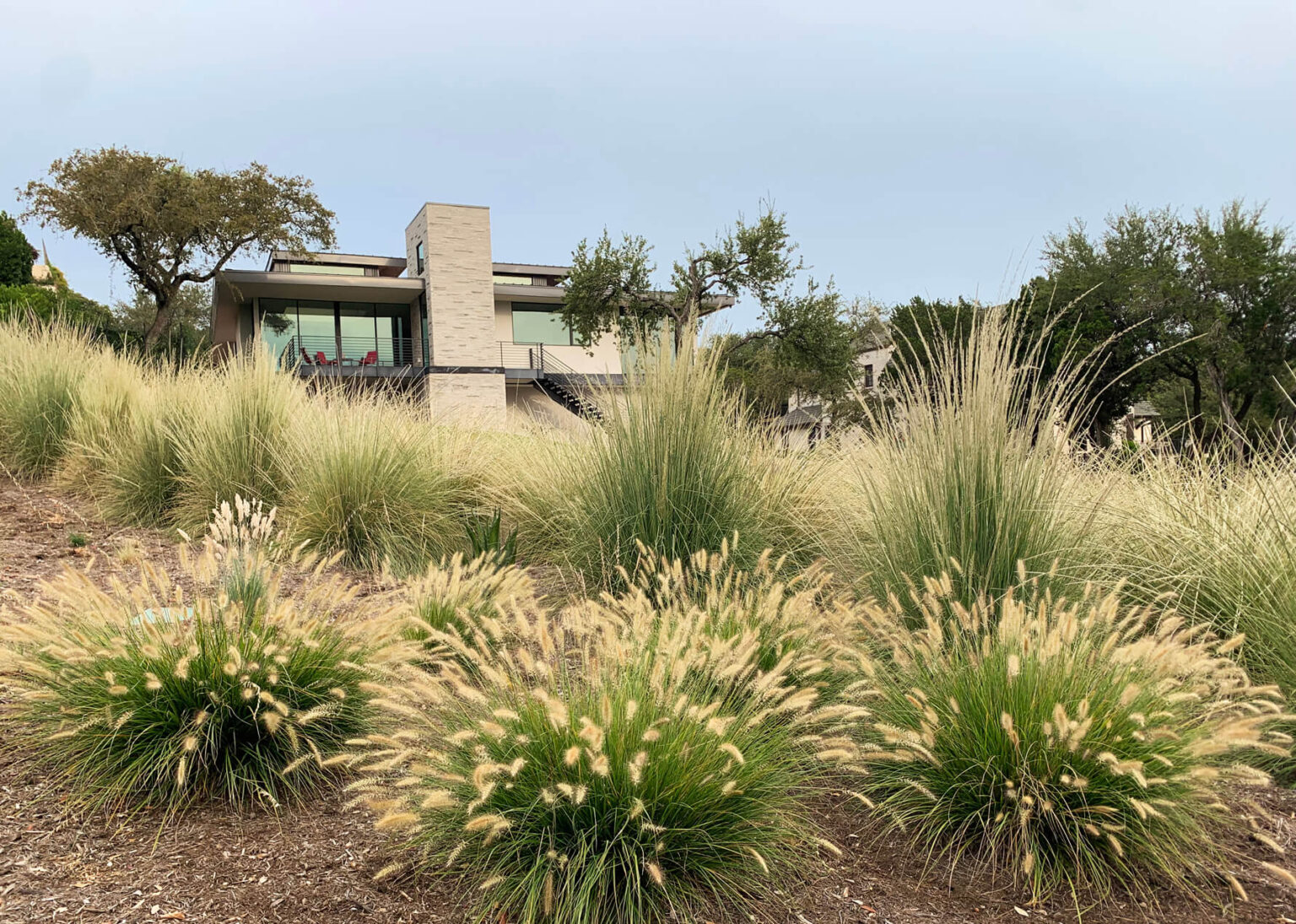 ADLA Studio| Austin Landscape Architect | Design Services